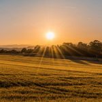 VILLAGE OF RISINGSUN – The Village of Risingsun is a small community in ...